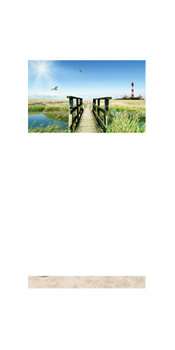 3 Month Calendars - Dispo - The expert for high-class calendars